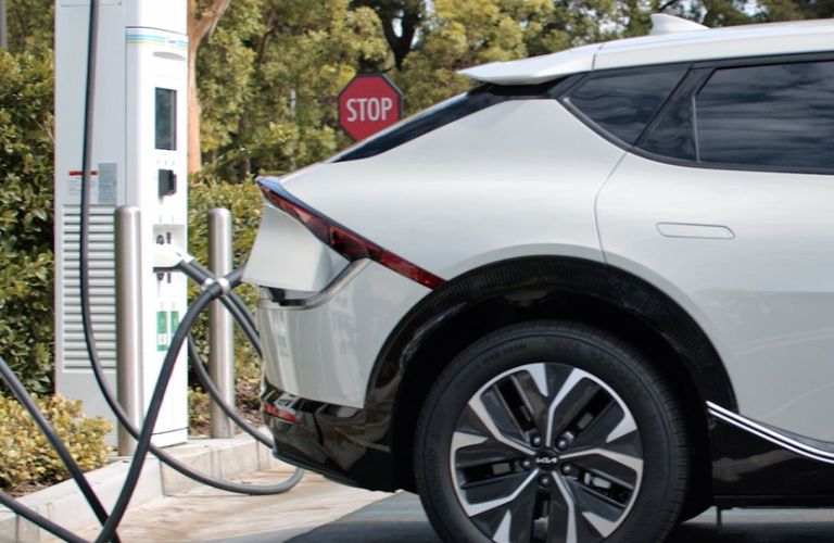 Connectivity at Your Fingertips: Exploring the Kia Connect App